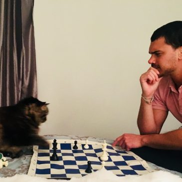 Josh Levine, student of chess in LA | Atousa Pourkashiyan